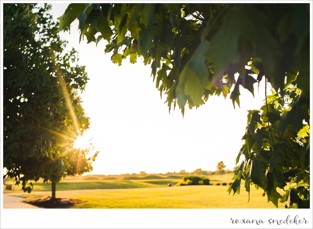 Purgatory Golf Club Noblesville, Indiana Wedding